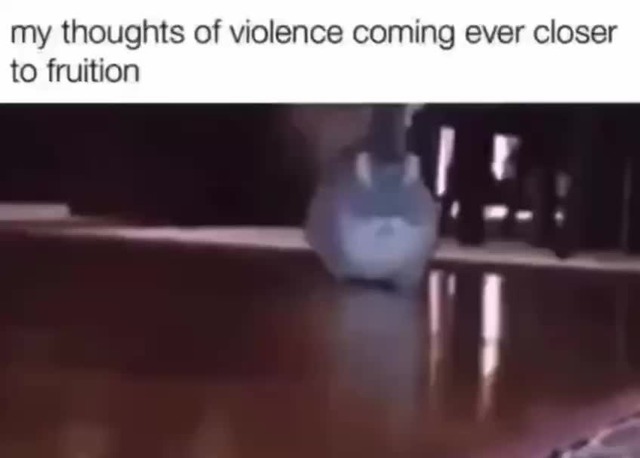 Intrusive thoughts intrusive thoughts - Meme by ColonCancer :) Memedroid Intrusive thoughts intrusive thoughts - Meme by ColonCancer :) Memedroid