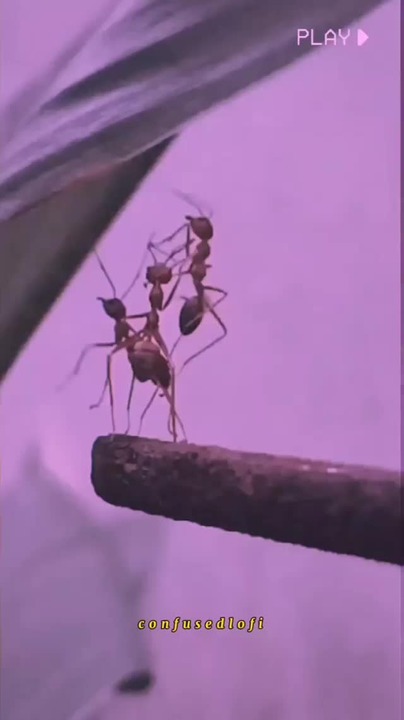 Que sad - Meme subido por Alex_Durden :) Memedroid