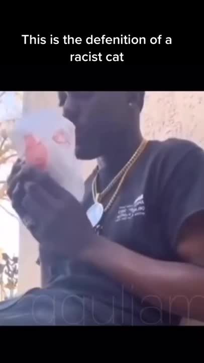 Cat memes - Meme subido por h4ppyp1LLs :) Memedroid