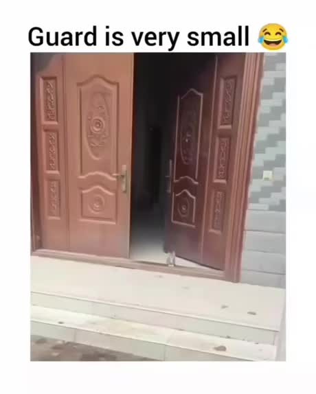 Kitty is guarding the port - Meme by BluewoMeme :) Memedroid