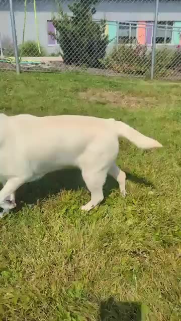 The perfect combination - Meme by blackbirdjay :) Memedroid