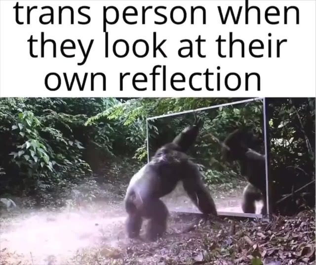 Trans reflection - Meme by TheToxicFrog :) Memedroid
