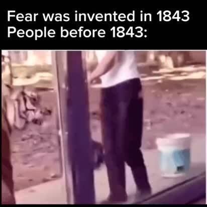 Big cat meme - Meme by Heerovcutx :) Memedroid