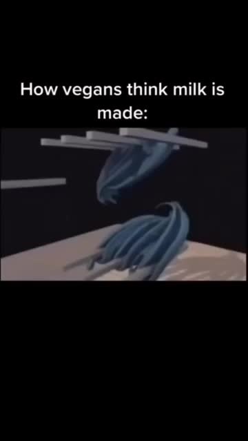 El meme no es mio, espero que sepan inglés xdxd - Meme subido por ...