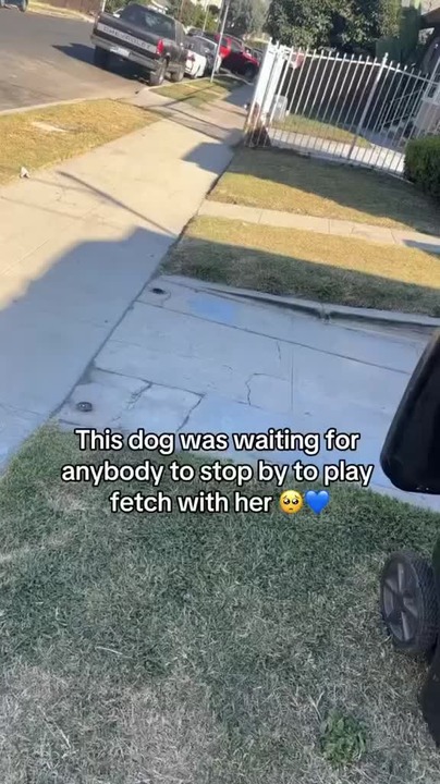 But like now she can never leave - Meme by slurpmaldo :) Memedroid