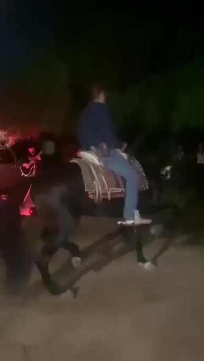 Caballito bailaor - Meme subido por jackbusson :) Memedroid