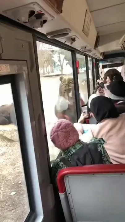 Aeeee - Meme by YourOtherLeft :) Memedroid