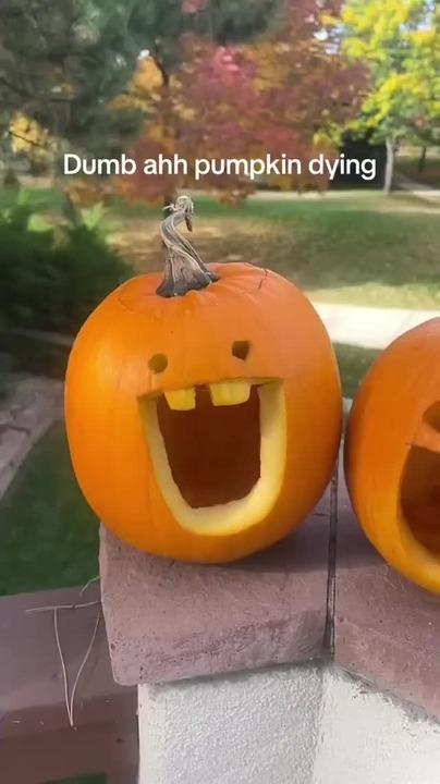Funny dumb ahh pumkin video meme - Meme subido por FuzzyGrim :) Memedroid
