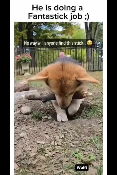 What stick? - Meme by Cliffy_99 :) Memedroid