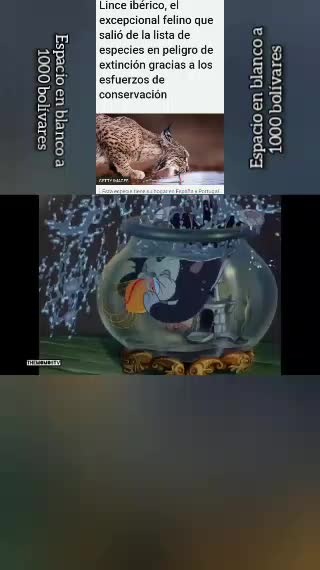 SIIIIIIIIII, otro animal que se salva de la extinción, esto hay que ...