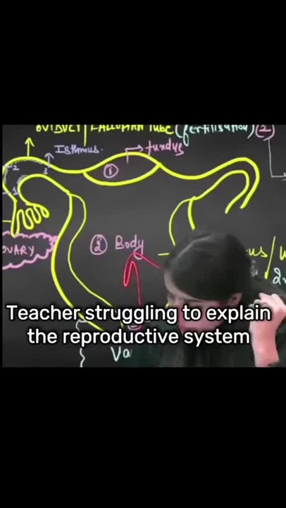 Reproductive system class - Meme by Illrandom :) Memedroid