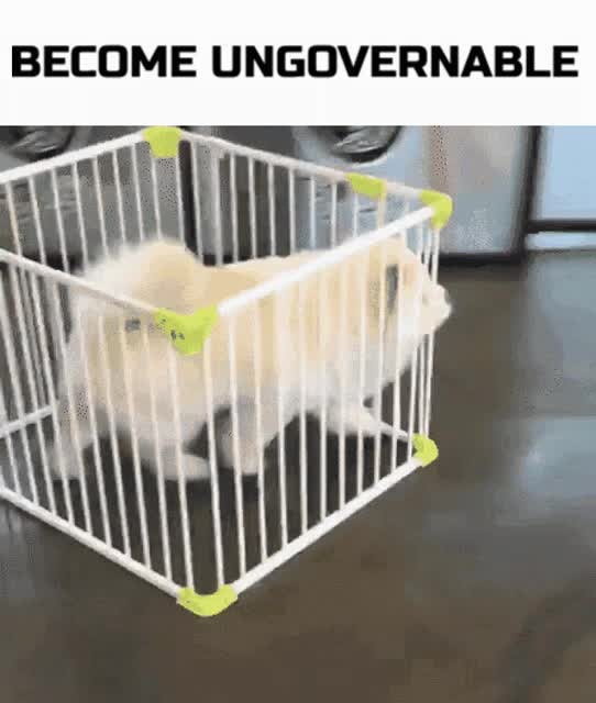 Become Ungovernable - Meme by Esmeria :) Memedroid