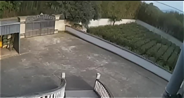 Jabalí chetado - Meme subido por dreamca23 :) Memedroid