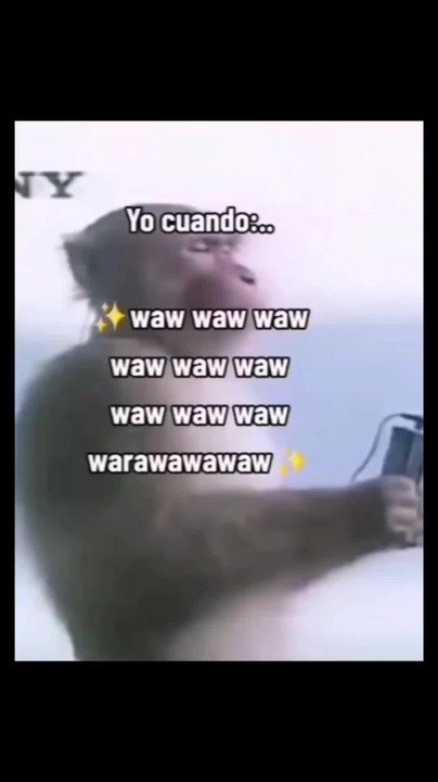 Waw - Meme subido por Sandro916 :) Memedroid