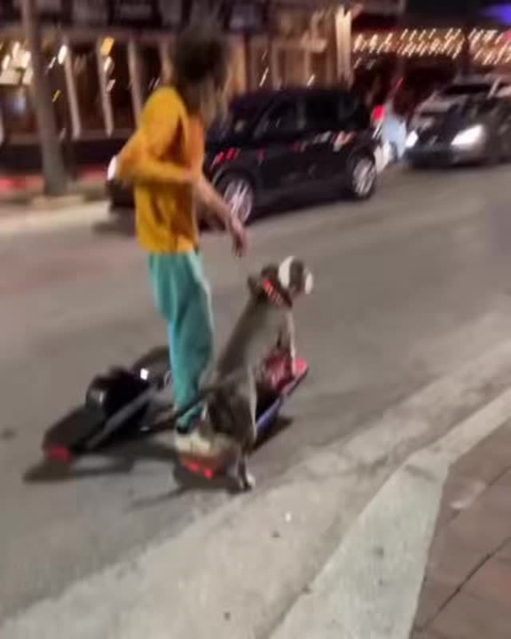 Cruisin - Meme by Knot_daddy :) Memedroid