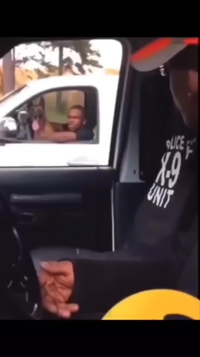 Perro al ataque - Meme subido por jackbusson :) Memedroid