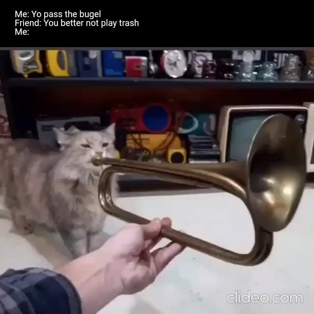 Rascal does not dream - Meme by Disappointed_father :) Memedroid