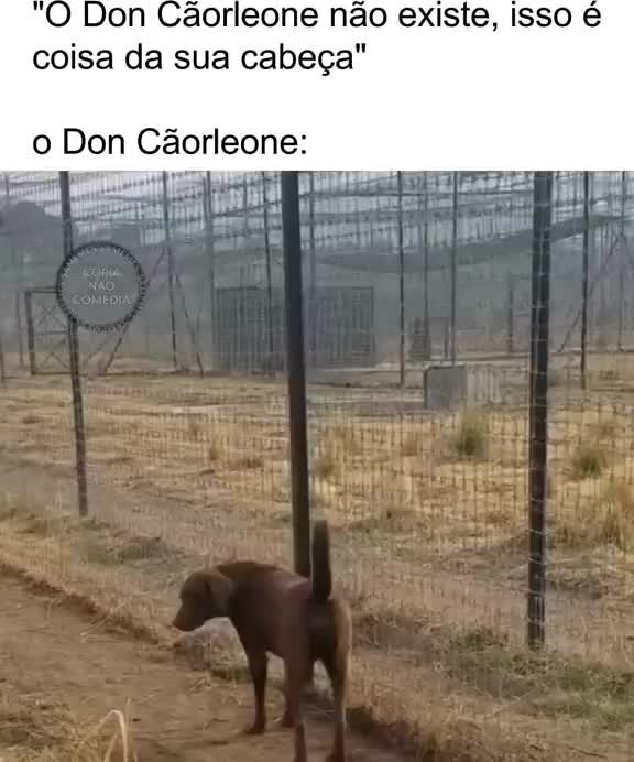 Don Cãorleone kkkkkk - Meme by TheNerd :) Memedroid