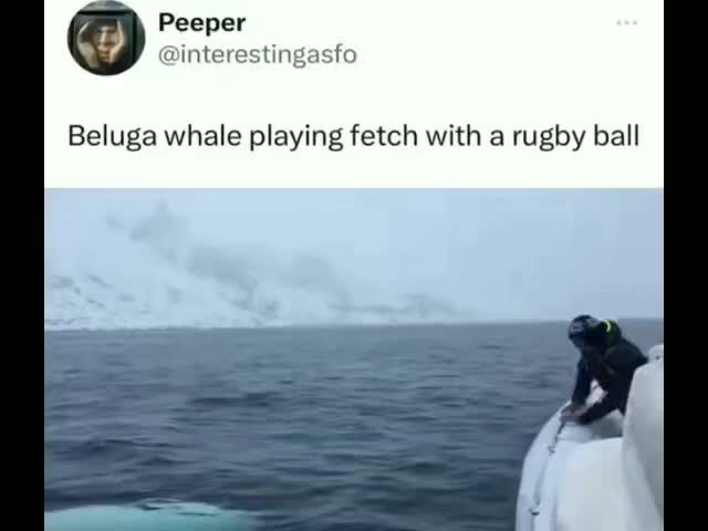 Fetch - Meme by Cliffy_99 :) Memedroid