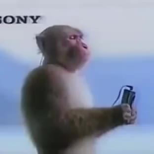 Meme - Meme subido por -NapTrollo- :) Memedroid