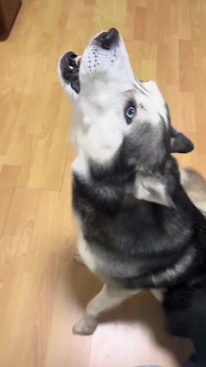 Olovorgo - Meme subido por Kaleno87 :) Memedroid