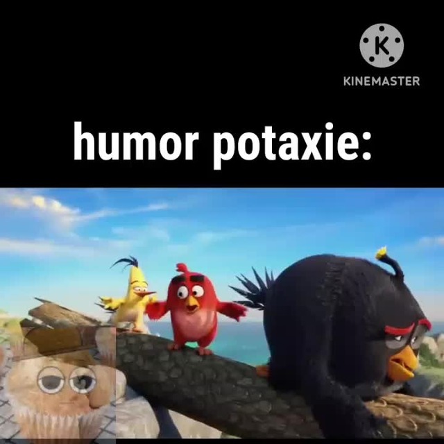 Humor potaxie: - Meme by slaamy :) Memedroid