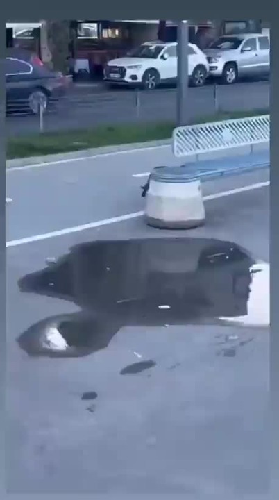 Goofy ahh gato y ratón - Meme subido por ElRodrop :) Memedroid