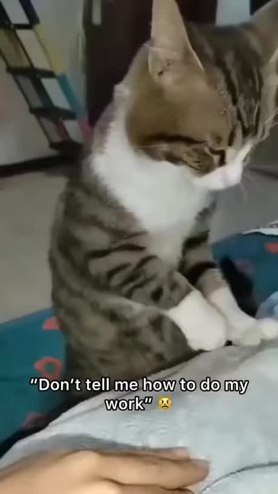 now I'm not doing it - Meme by imROYAL :) Memedroid