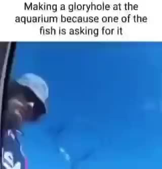 dongs in an aquarium - Meme by The-AncientEgyptians :) Memedroid