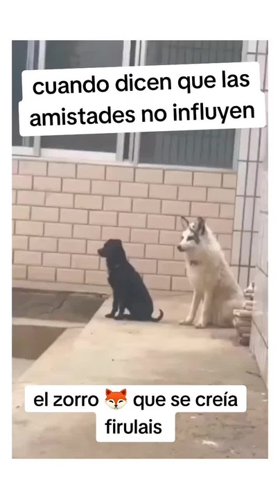 Zorro - Meme subido por Kaleno87 :) Memedroid