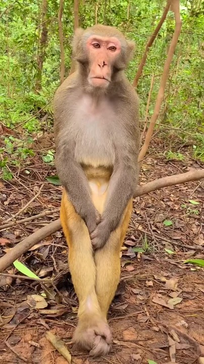 No c - Meme subido por Kaleno87 :) Memedroid