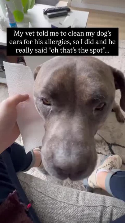 He's loving it - Meme by BranBhuman :) Memedroid