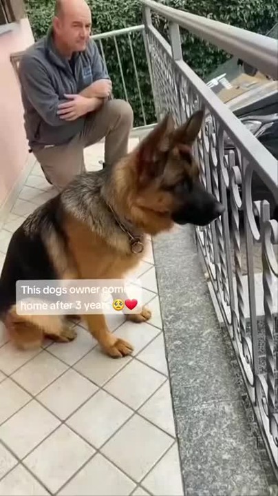 Pure joy - Meme by Zeio44 :) Memedroid