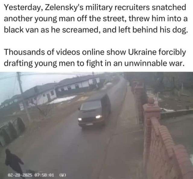 Poor dog - Meme by Mr.Gimli :) Memedroid