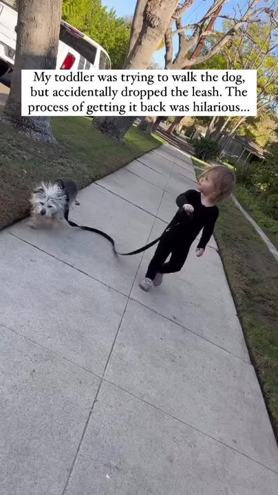 The slowest chase in history of chasing. - Meme by MonkeyRange :) Memedroid