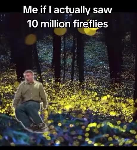 10 million fireflies - Meme by GunnaBurns :) Memedroid