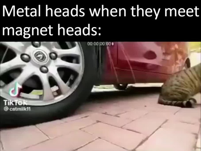 Magnet - Meme subido por PASSWORD123456789 :) Memedroid