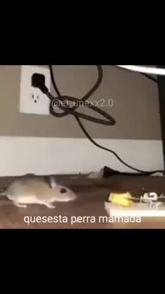 Las piedras rodando se encuentran - Meme subido por Ice_WoIf :) Memedroid