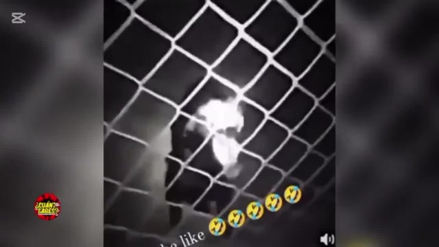 Perro - Meme by Juliousau :) Memedroid