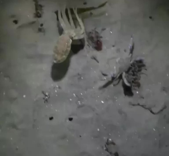 Inesperado - Meme subido por Targodesh :) Memedroid