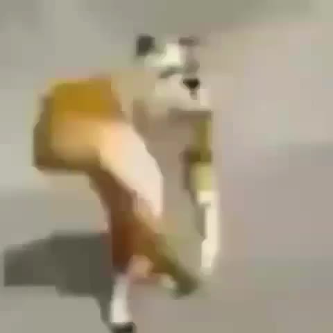 Chacarron Chacarron - Meme subido por Eduargr :) Memedroid