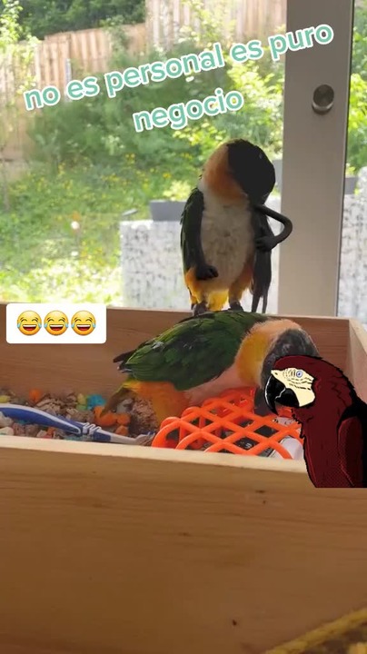 Gurrumino - Meme by Kaleno87 :) Memedroid