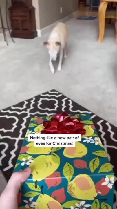 Regalo - Meme subido por Sandro916 :) Memedroid