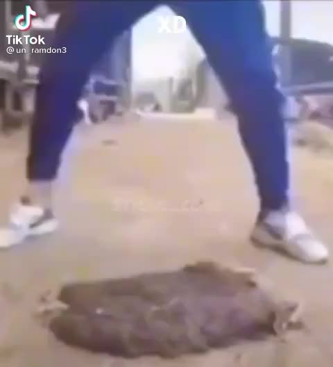 Popo - Meme subido por 1lzkslzl :) Memedroid