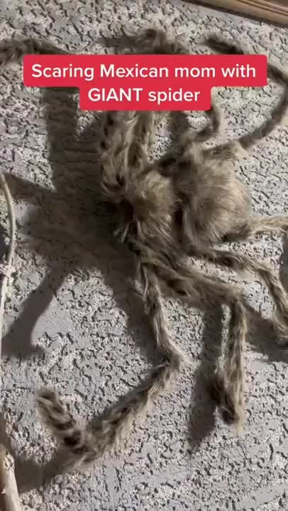 She almost had a heart attack - Meme by schizoidman :) Memedroid