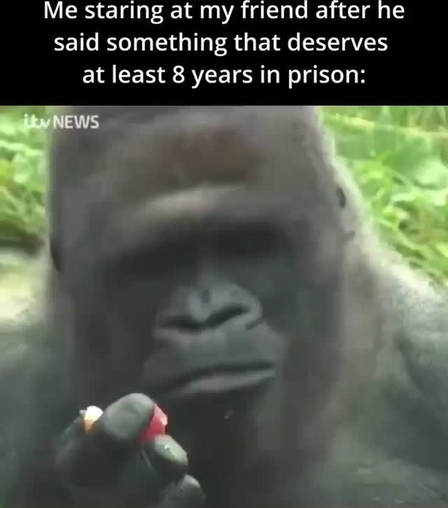 Dark humor meme - Meme by mafiadax :) Memedroid