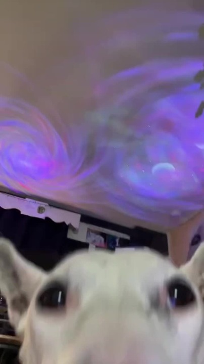 Uff - Meme subido por vicecity123f :) Memedroid