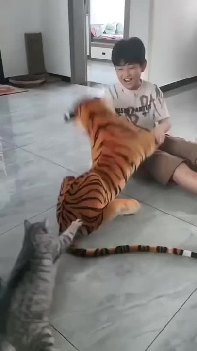 Cat defending owner from stuffed tiger - Meme by MMD_Fun_Agent :) Memedroid