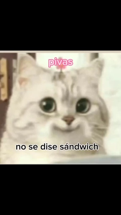 Sandwich - Meme subido por ELADIOureta :) Memedroid
