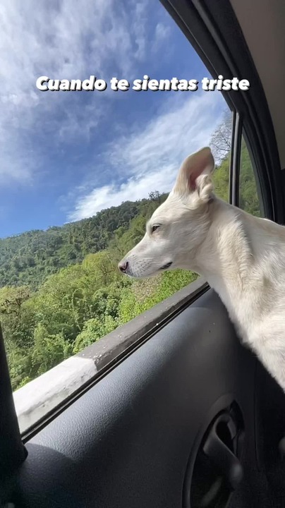 Reflexión - Meme subido por Kaleno87 :) Memedroid